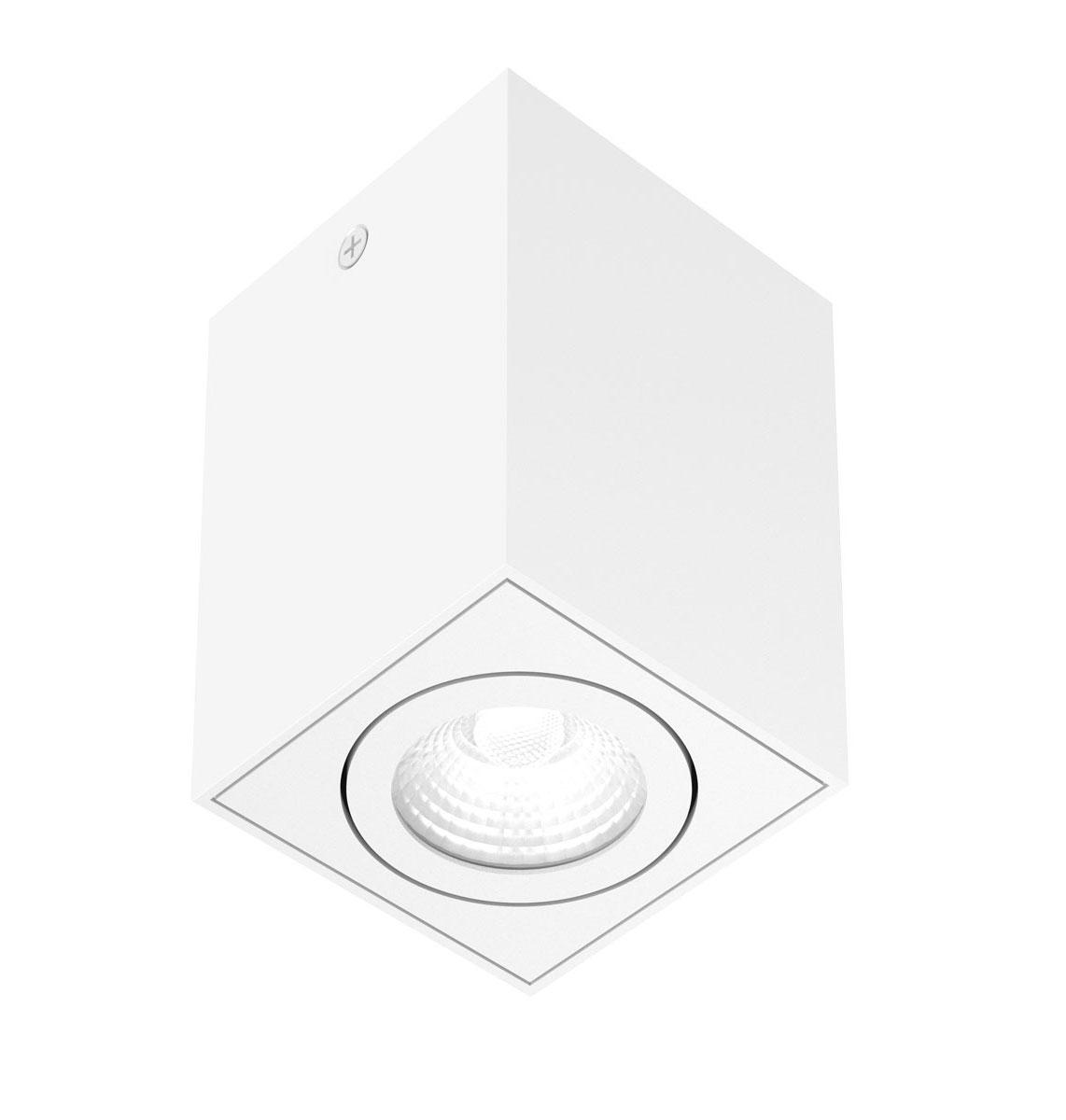 DL129 Rotatable Surface Mounted Downlight White